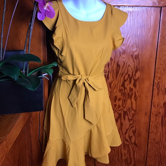 Dresses | New Beautiful Chic Dress For All Occasions | Poshmark